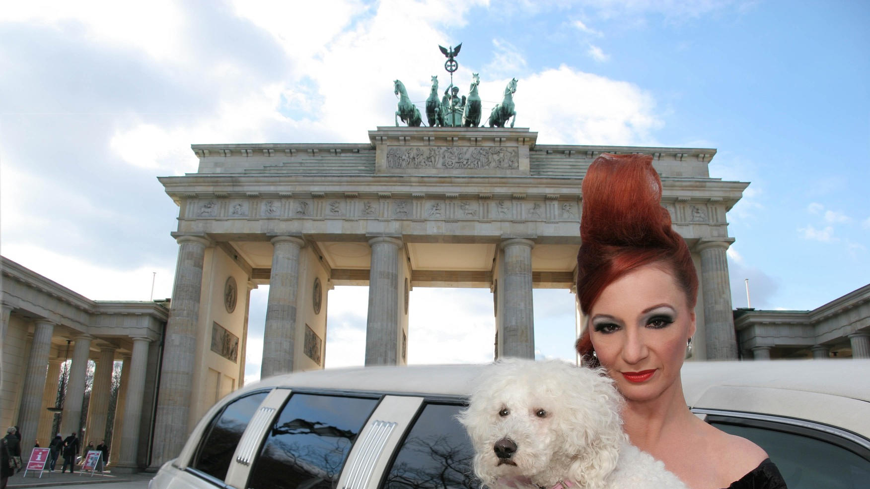 Die Einrichter Simone-Renée Nix