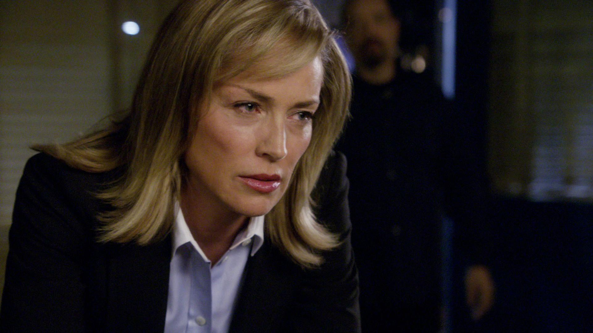 Sharon Stone in "Law & Order: SVU"
