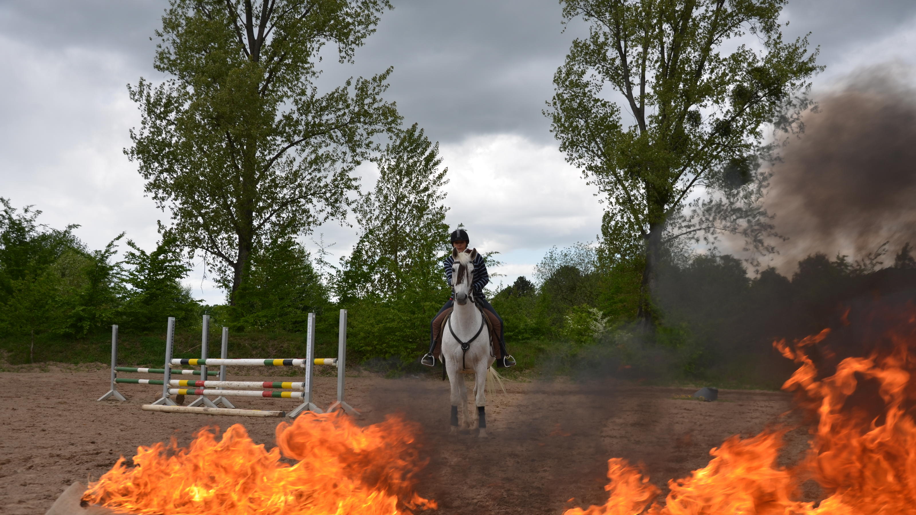 hundkatzemaus: Diana Eichhorn feiert ihre Feuertaufe im Stuntreiten