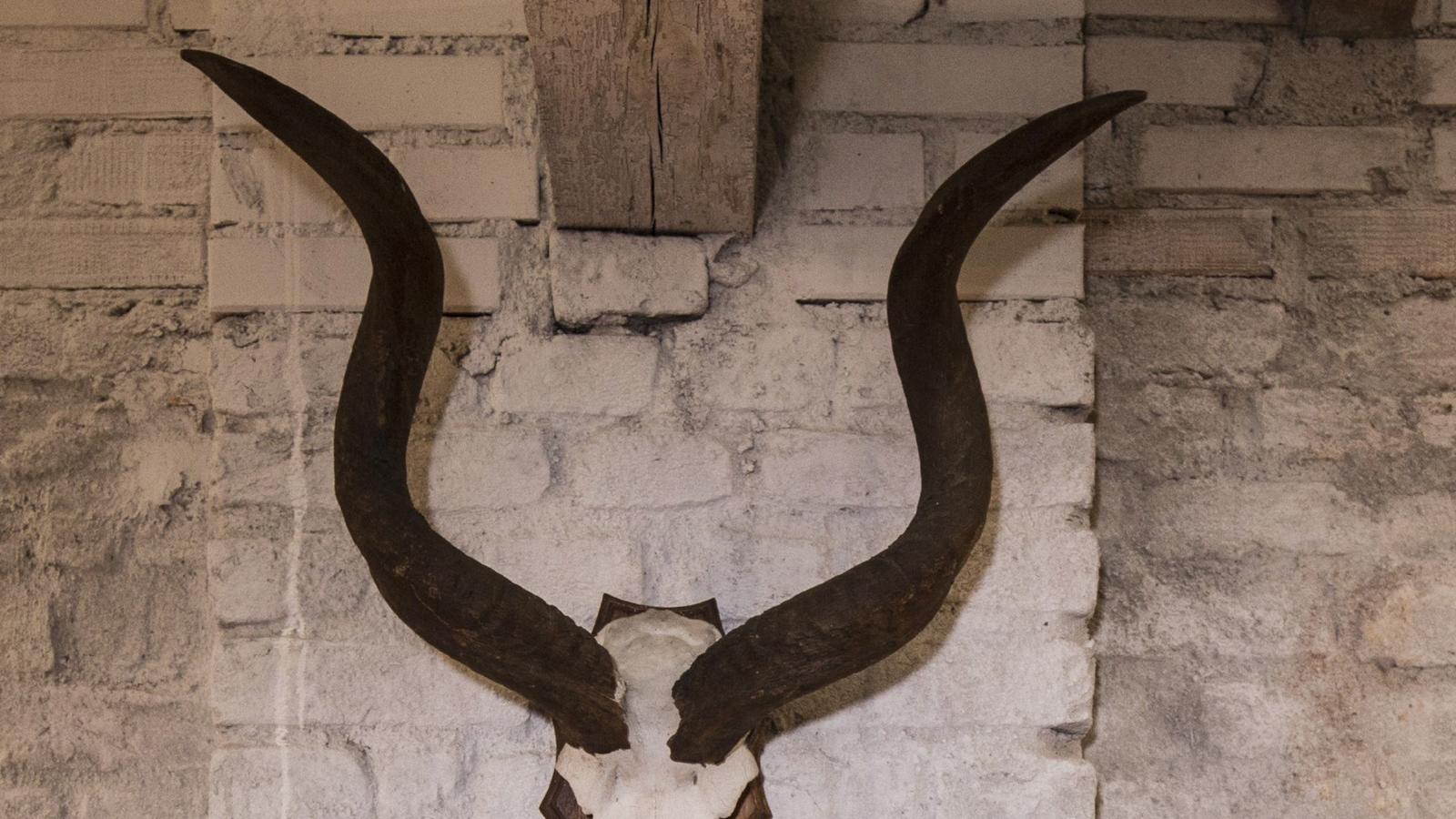 Kitchen Impossible: Roland Trettl tritt gegen Tim Mälzer an