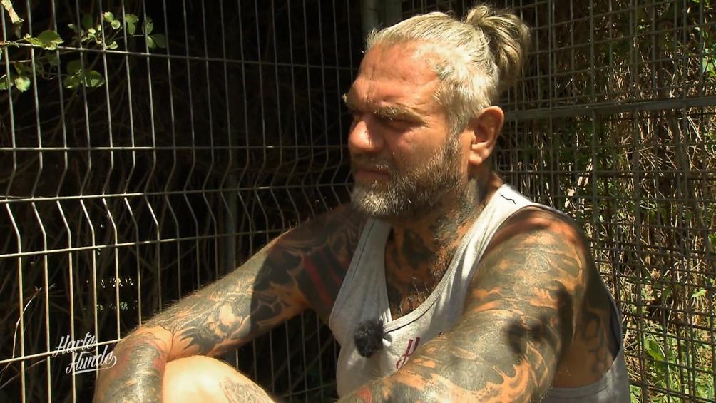 Angsthündin Jessi ruft beim „Harten Hund“ Ralf Seeger schlimme ...