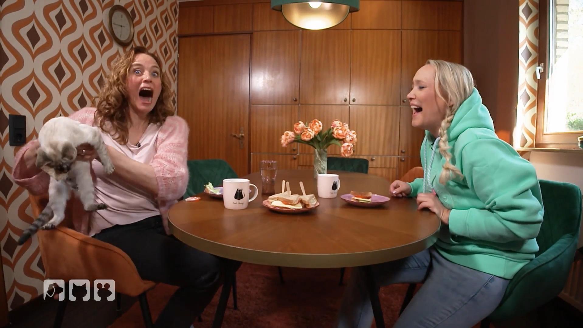 hundkatzemaus: Kate Kitchenham wird Opfer von Kätzchen Stella